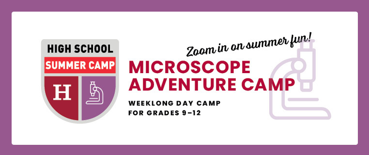 Microscope Camp | Physics | Hamline University - Minnesota