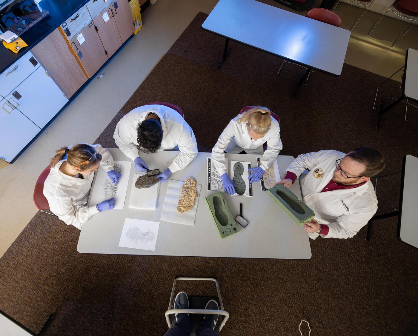 Forensic Science Major (BS) | Hamline University - Minnesota